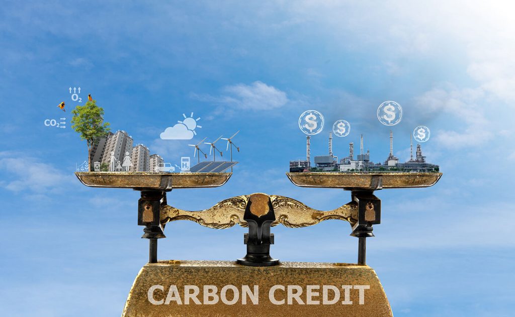 Empowering Sustainable Futures with Transparent Carbon Accountability ...